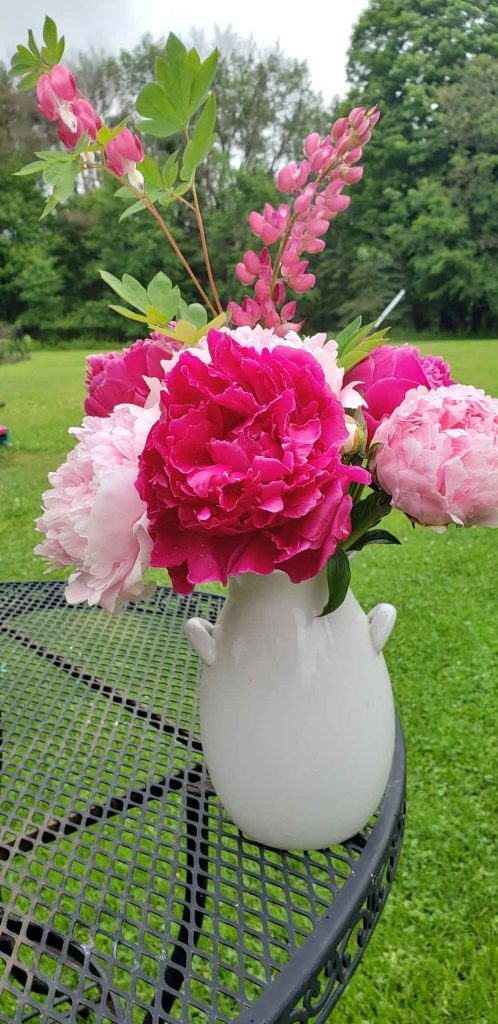 How to Plant Bleeding Heart Roots - Eden Brothers Planting Guides