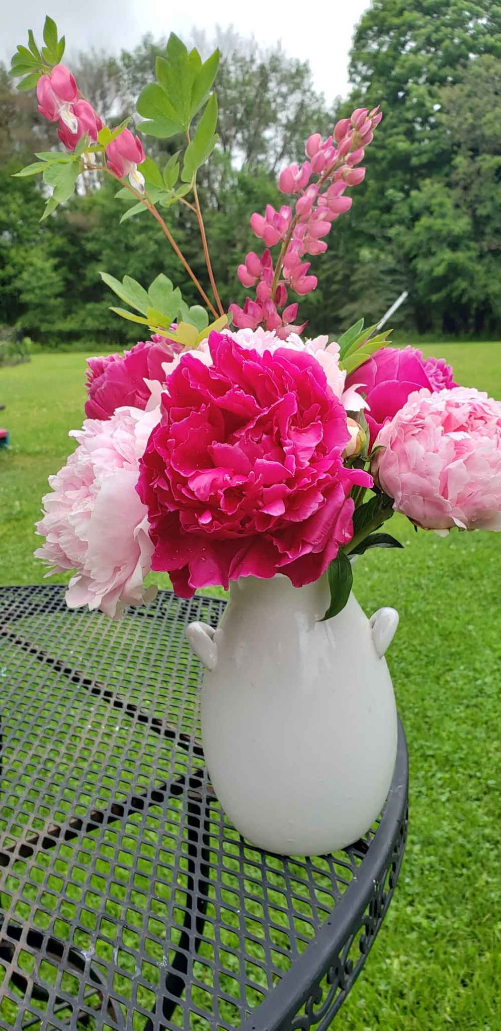 How to Plant Bleeding Heart Roots - Eden Brothers Planting Guides