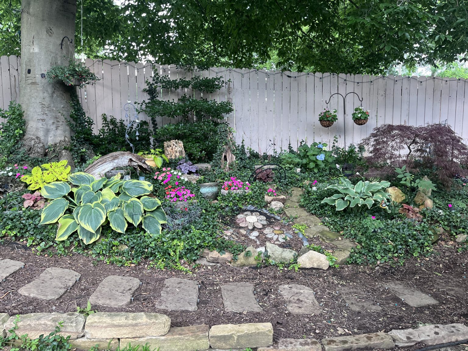 How to Plant Hosta Roots - Eden Brothers Planting Guides