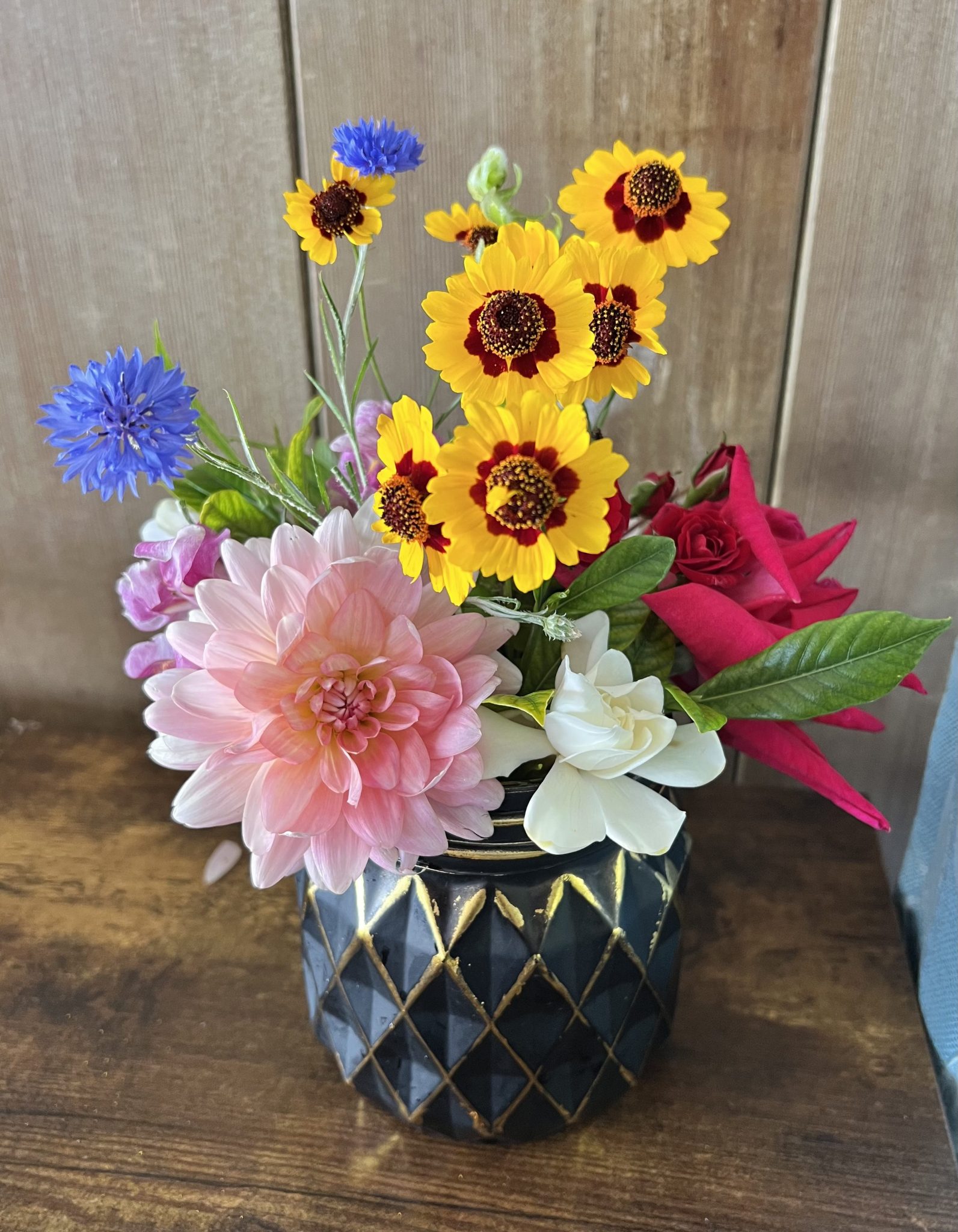 How to Plant Coreopsis Seeds - Eden Brothers Planting Guides