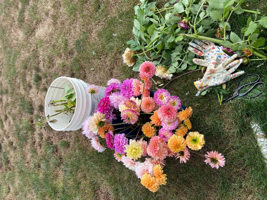 Bucket of Joy!