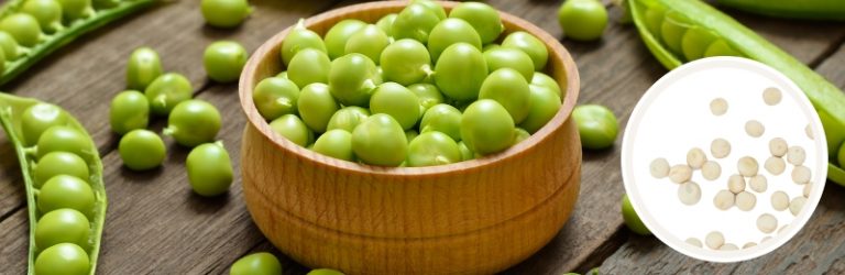 How to Plant Pea Seeds - Eden Brothers Planting Guides