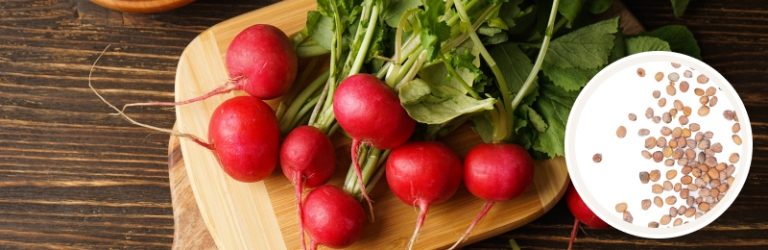 How to Plant Radish Seeds - Eden Brothers Planting Guides