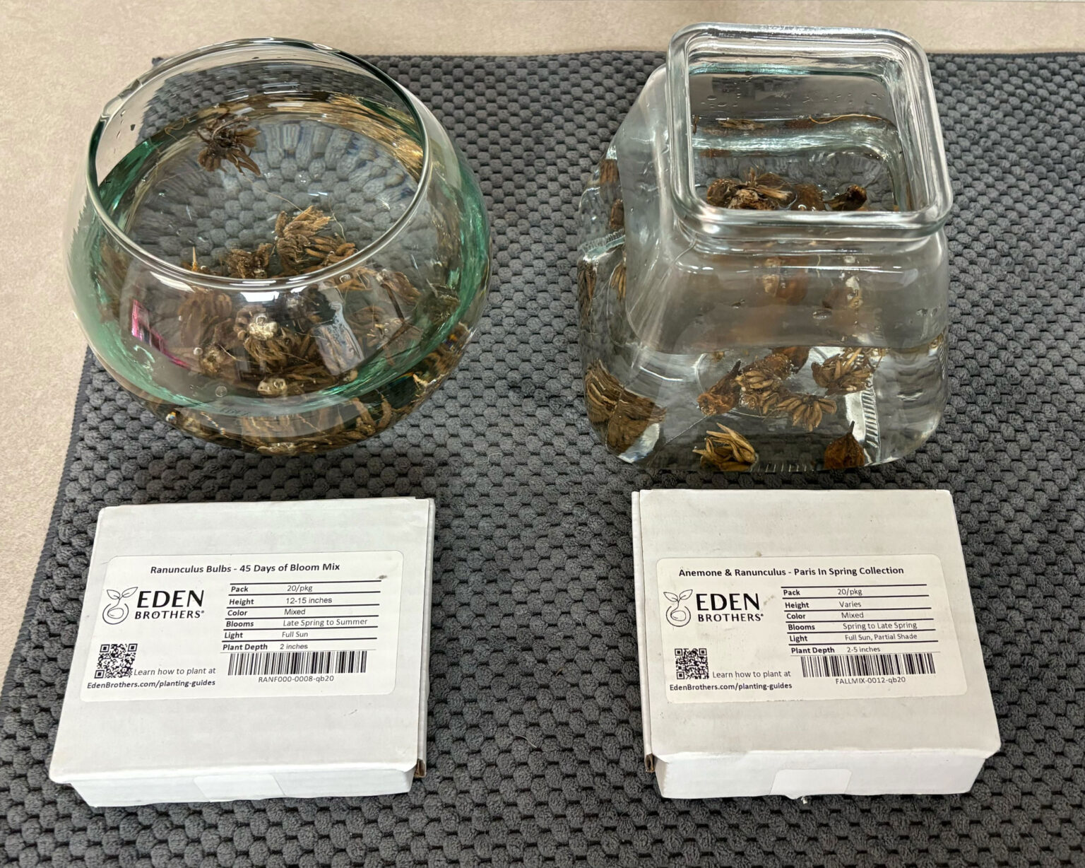 Ranunculus Magic: How to Grow Romantic, Ruffled Blooms - Gardener's ...